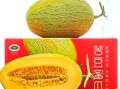 全国十大哈密瓜排名_哪里产的最好吃