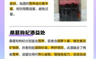 桑葚酒哪些人不能喝_桑葚酒禁忌人群有哪些