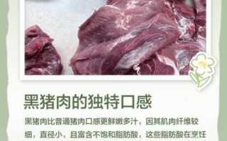 黑猪肉的营养价值_黑猪肉和普通猪肉的区别