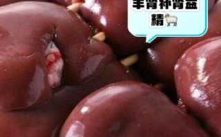羊肾的功效与作用_羊肾的禁忌人群