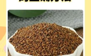 菟丝子泡水喝的害处_长期饮用有哪些副作用