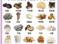 菌类有哪些营养价值_菌类怎么吃最健康