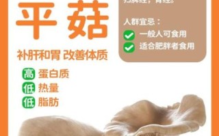 平菇的功效与作用_平菇怎么吃最营养