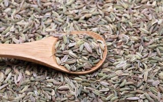 大料指的是什么东西_大料和小茴香一样吗