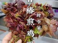 香椿炒蛋可以隔夜吃吗_香椿炒蛋隔夜保存方法