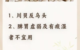 川贝粉的正确吃法每天吃几次_川贝粉一天吃几次效果最好