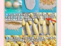 面包的做法和配方是多少_新手一次成功