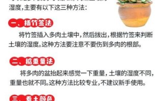 多肉植物怎么养_多肉植物多久浇一次水