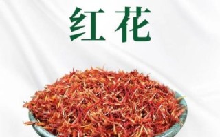 红花能治什么病_红花功效与作用