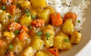 咖喱鸡肉饭怎么做_咖喱鸡肉饭的家常做法