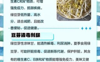 豆芽菜的功效与作用_吃豆芽菜能减肥吗