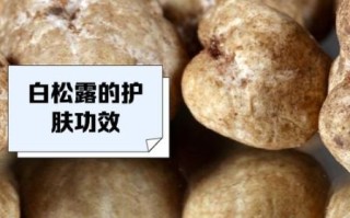 白松露怎么保存_白松露的家常做法