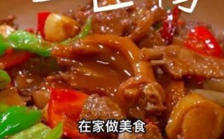 鸭肉怎么做好吃_鸭肉的家常做法大全