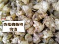 白芨图片长什么样_如何辨别真假白芨