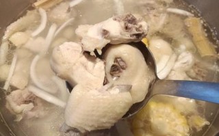 广东椰子煲鸡汤放什么材料_椰子鸡汤正宗做法