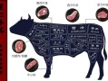 牛肉部位分割图怎么看_牛排选哪个部位最好
