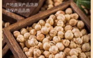 白蔻仁的功效与作用_白蔻仁怎么吃效果最好