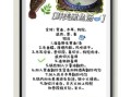 黑鱼怎么炖才好吃_黑鱼炖汤做法