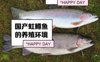 怀柔虹鳟鱼养殖基地在哪_怀柔虹鳟鱼多少钱一斤