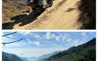 松露猪怎么训练_松露猪价格多少钱一只