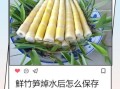 鲜竹笋怎么做好吃_鲜竹笋焯水几分钟