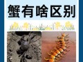 大闸蟹是河蟹还是海蟹_产地与习性解析