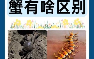 大闸蟹是河蟹还是海蟹_产地与习性解析