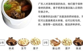 广东老火靓汤怎么做_广东汤谱100例适合哪些体质