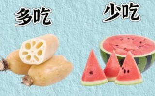 夏季饮食小常识_夏天吃什么好