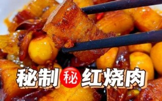 家常红烧肉怎么做_新手零失败详细步骤