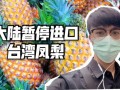 台湾凤梨事件怎么回事_大陆暂停进口原因