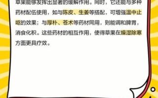 草果的功效与作用有哪些_草果主治什么病