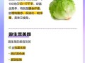 圆白菜可以生吃吗_圆白菜吃多了有什么坏处
