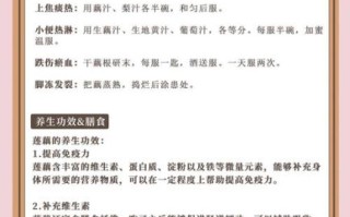 莲藕热量高吗_莲藕有哪些营养成分