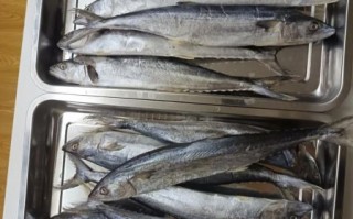 香煎鲅鱼怎么腌制_香煎鲅鱼腌制窍门