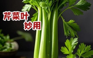 小芹菜叶子能吃吗_小芹菜叶子怎么吃