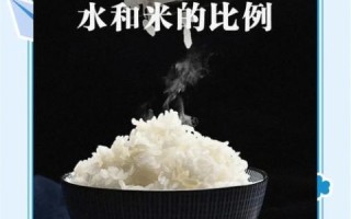 蒸米饭水和米的比例是多少_电饭煲蒸米饭比例怎么调
