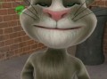 会说话的汤姆猫2怎么玩_会说话的汤姆猫2隐藏彩蛋