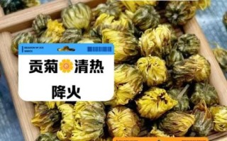 杭白菊和胎菊哪个好_降火效果对比