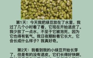 黄豆发芽观察日记7天怎么写_四年级作文范例