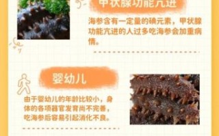 海参的功效与禁忌人群_哪些人不宜吃海参