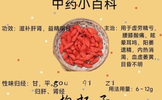 枸杞怎么吃补肾效果最好_枸杞补肾的正确吃法 枸杞怎么吃补肾效果最好_枸杞补肾的正确吃法