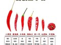 川菜和湘菜哪个更辣_川菜湘菜辣度区别