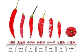 川菜和湘菜哪个更辣_川菜湘菜辣度区别