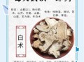 炒白术的功效与作用_炒白术怎么吃最好