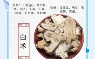 炒白术的功效与作用_炒白术怎么吃最好