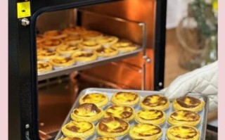 电烤箱做蛋挞怎么做_家用电烤箱蛋挞温度时间