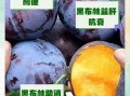 黑布林水果的功效与作用_黑布林怎么吃最好
