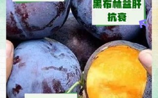 黑布林水果的功效与作用_黑布林怎么吃最好