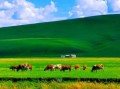 赤峰旅游攻略必玩的景点_赤峰最值得去的地方有哪些